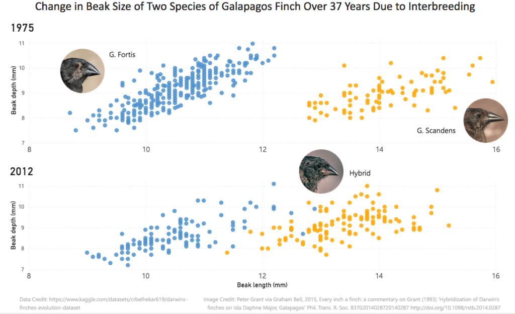 Conner Mackin – Data Analyst in Dallas, TX